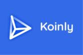 Koinly Review: Pros, Cons, and More - NuWireInvestor